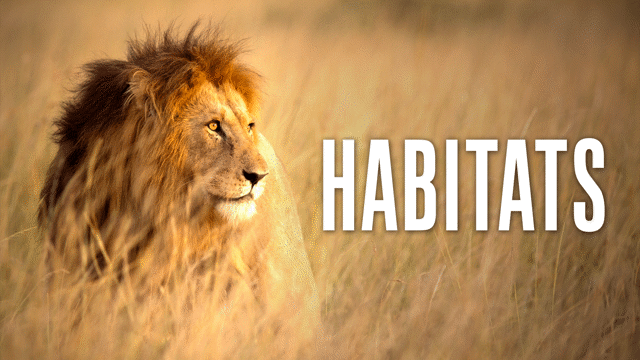 Habitats Video & Resources | ClickView Habitats Video & Resources | ClickView