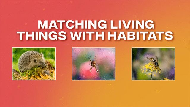 Habitats Videos, Resources & Worksheets | ClickView Habitats Videos, Resources & Worksheets | ClickView