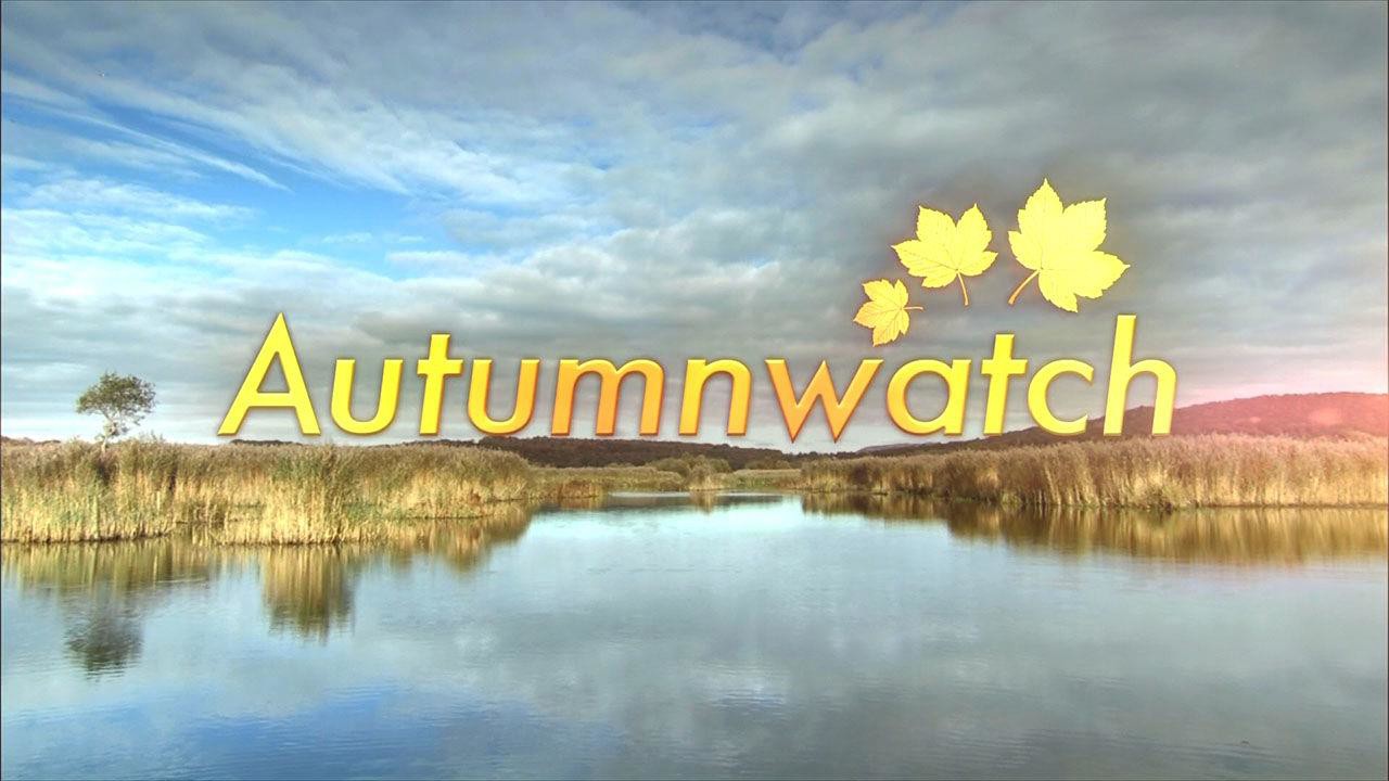 Autumnwatch - Airs 8:00 PM 26 Oct 2022 on BBC TWO - ClickView